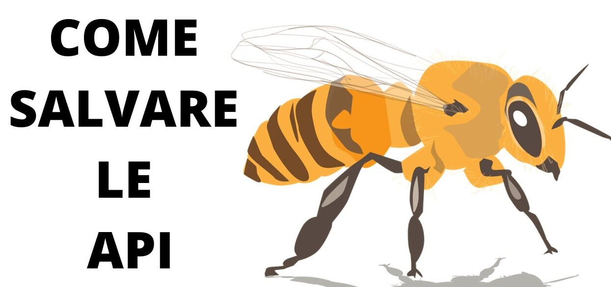 Salviamo le api - Mallamaci Group - Zafferano biologico Italiano